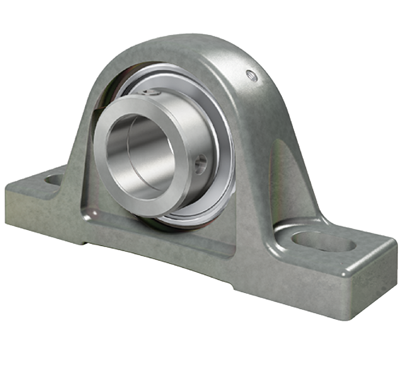 Albeco - www.albeco.com.pl - RASE50-XL-N-FA125 INA - Zespół z oprawą żeliwną, powłoka antykorozyjna